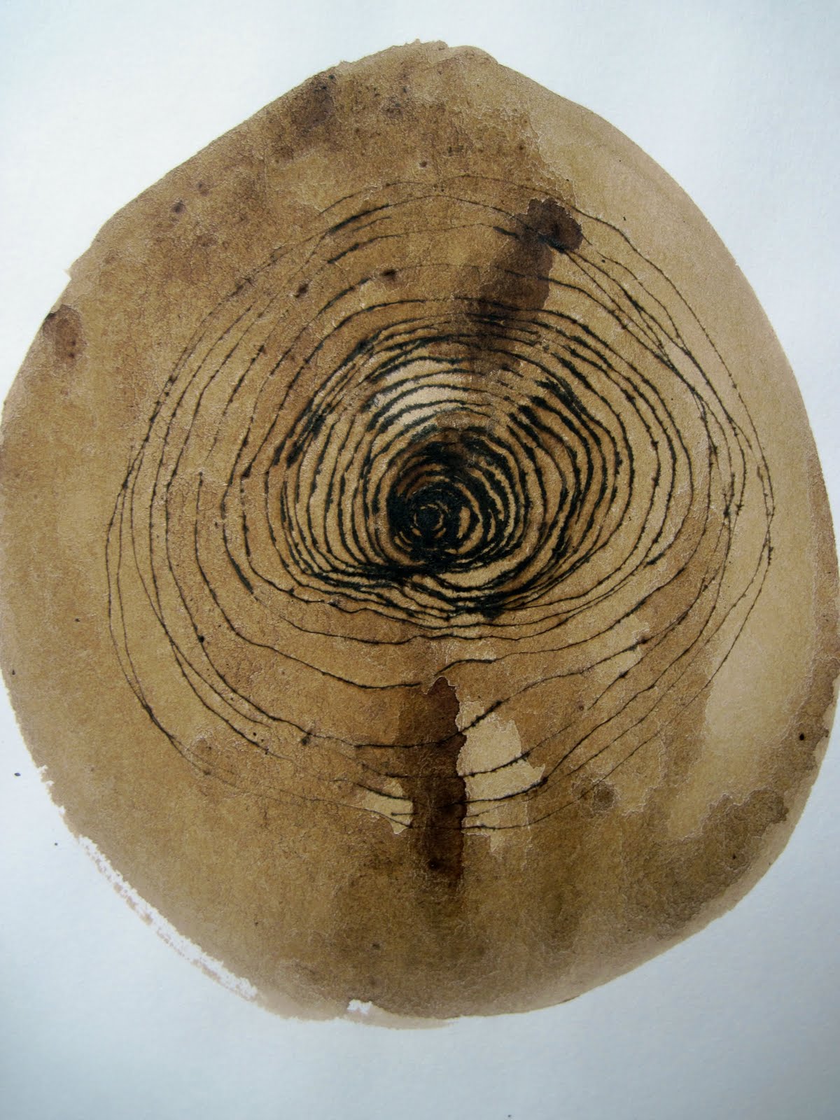 Inwardly Spiraling Spiral