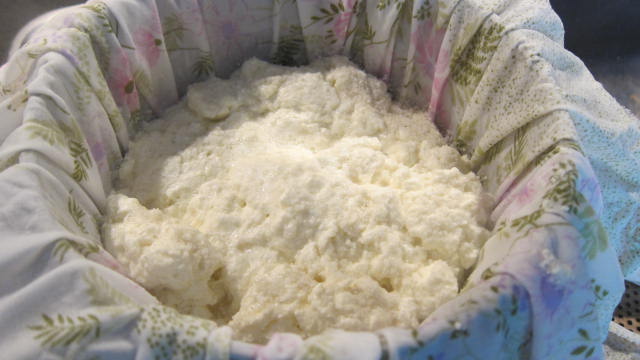 Dalmatian Mom: Ysta ost utan löpe