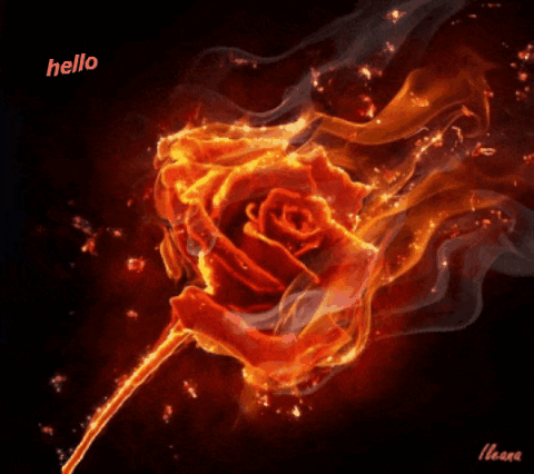 HAVING FUN WITH IMAGES: FIRE ROSE