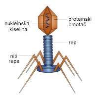 Instrukcije iz kemije i biologije: studenoga 2011