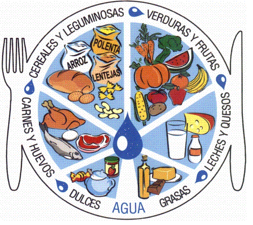 CIENCIAS: RUEDA DE LOS ALIMENTOS