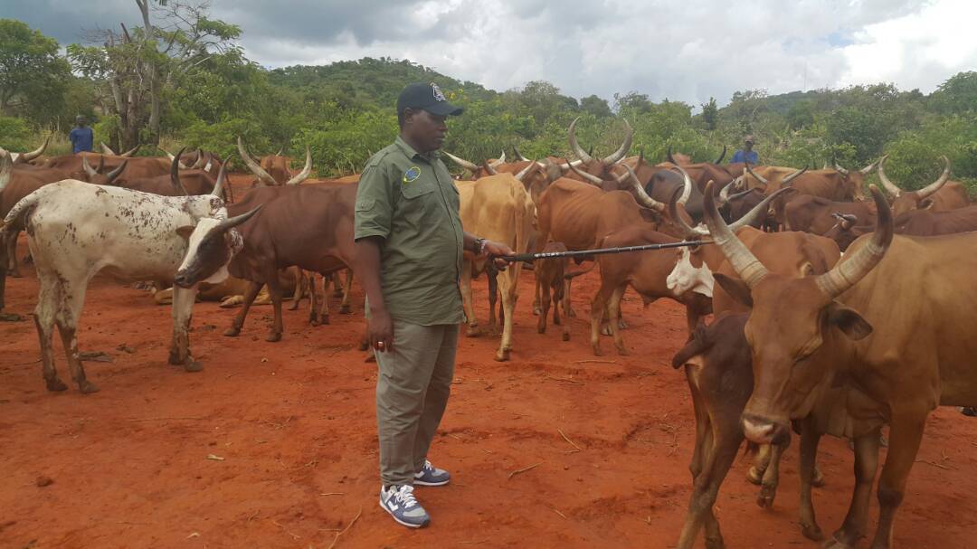 KANALI NDAGALA AKAMATA NG'OMBE 93 NA RAIA WANNE WA BURUNDI KATIKA ...