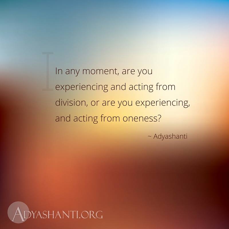 Divine will: Adyashanti Quotes