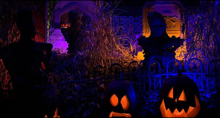 PUMPKINROT.COM: The Blog: The House On Rotting Hill 2018