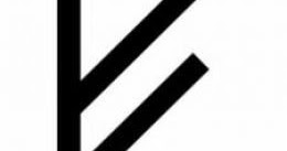 The Veiled Witch: Divination Notes: Rune Fehu.