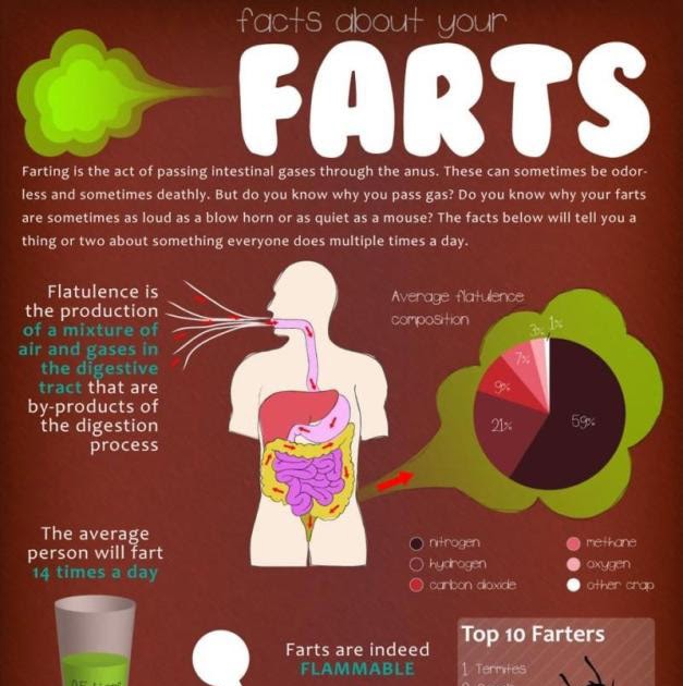 JOCO SOB: Fart Infographic