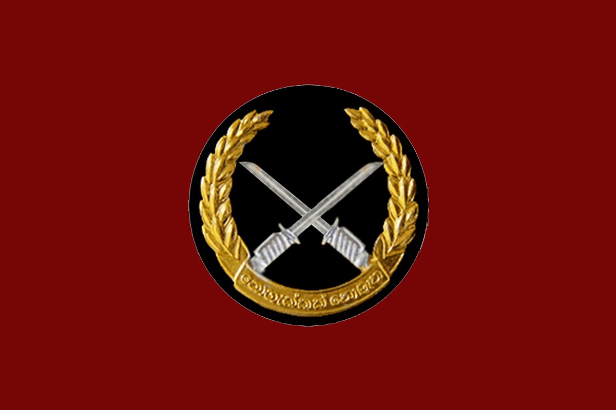 Sri Lanka Army Commando Regiment ~ everythinganyonejobs