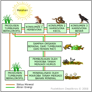E Learning MAN 1 Medan: Aliran Energi dan Daur Materi