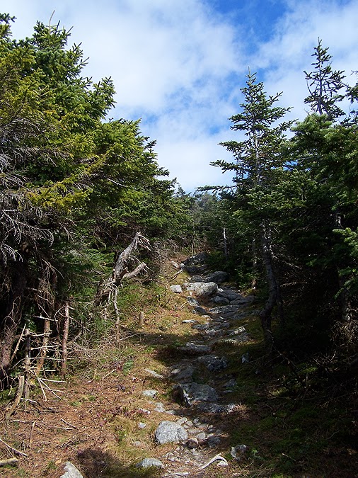 Hiking in the White Mountains: Not So Isolated: Mount Washington ...
