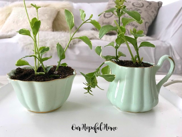 Our Hopeful Home: Vintage Royal Stuart China Repurposed As Planters