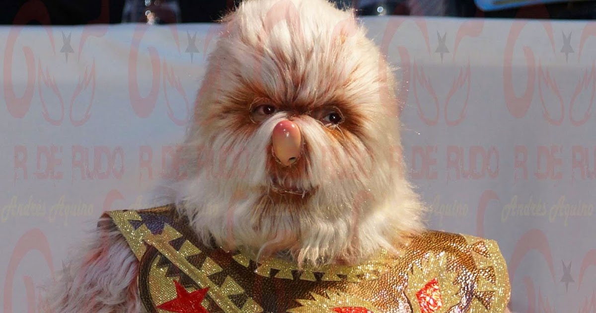 RdR: ALUSHE Y SU BEAT-BOX