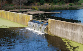 At home with Ali: Making our Own Weir