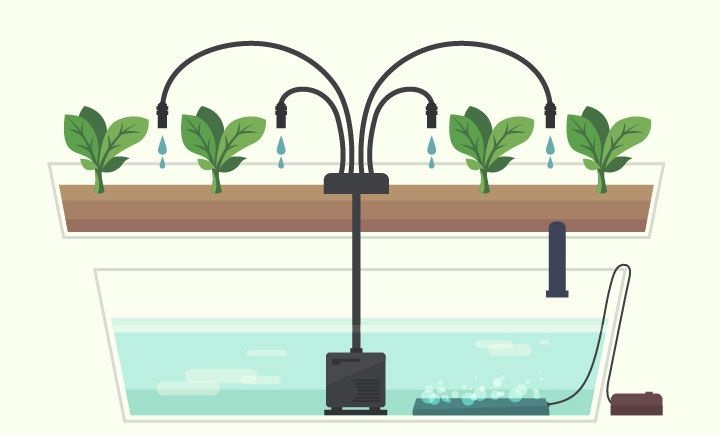 6 tipe dasar sistem hidroponik - tutorial hidroponik untuk pemula
