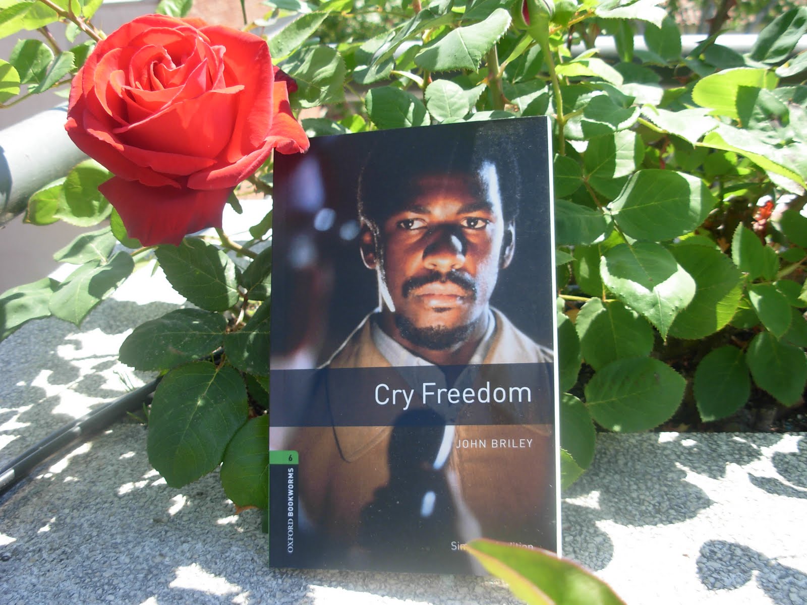 Les coses de la Marta: Opinió/n Cry Freedom - John Briley