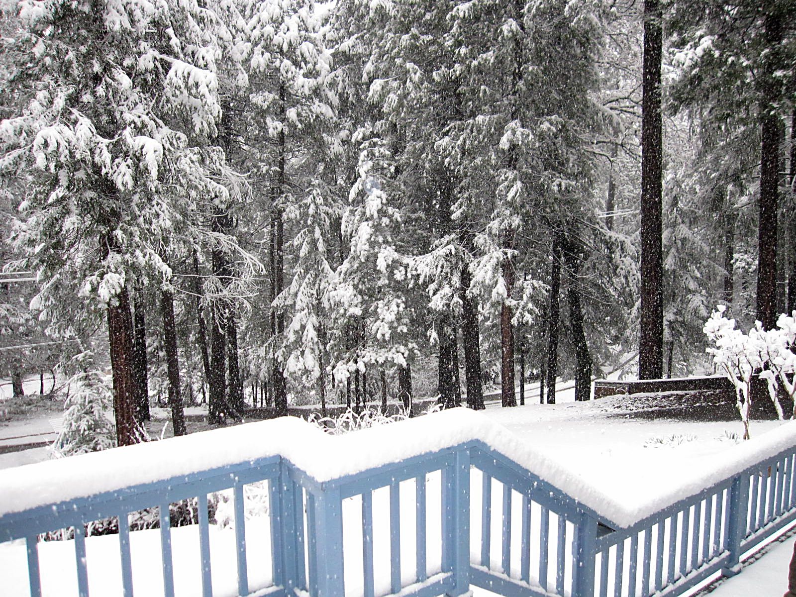 Createology: Serene Snowy Sunday...