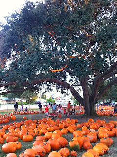 Sounds Like Chelsea's Life: Pumpkin Patch!