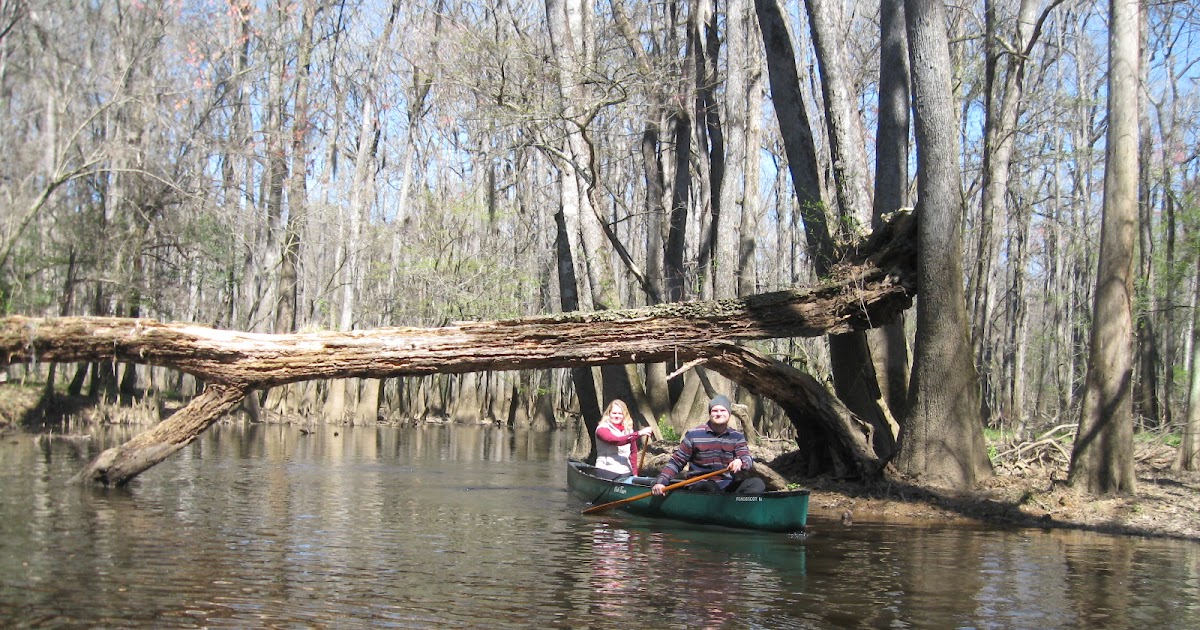 Me and You and a River Too!: Congaree National Park! A Swamp to Canoe ...