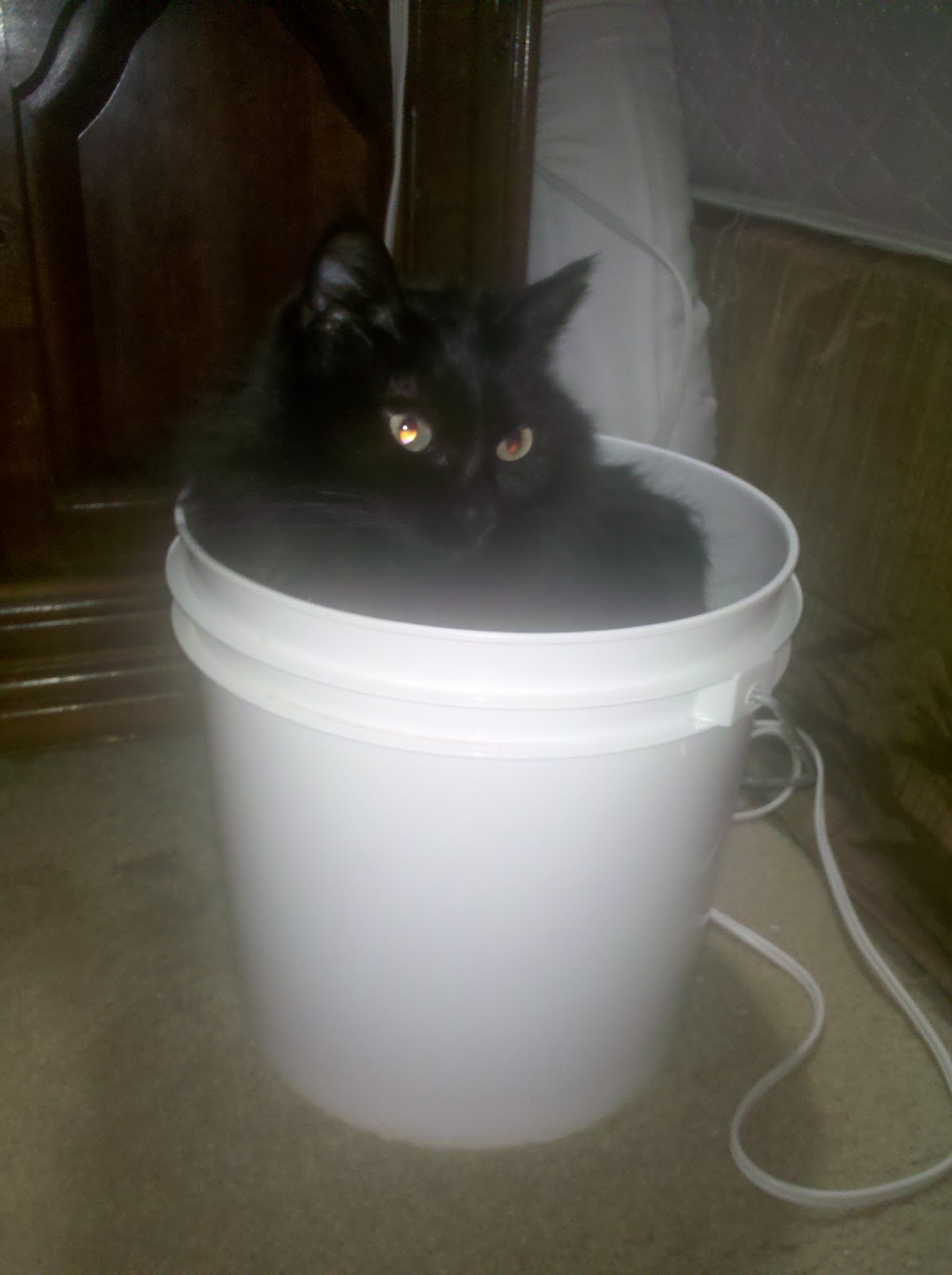 First Time Twins: Puke bucket