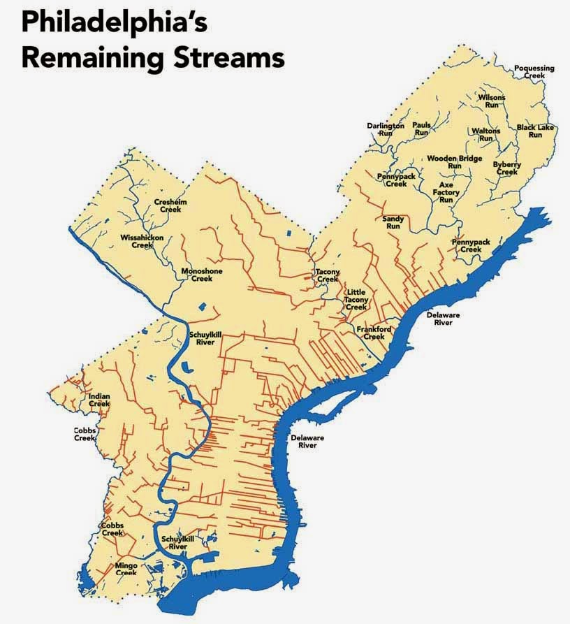 PHILLY TREES: THE PHILADELPHIA PALIMPSEST