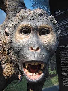 Paleo Vertebrados: Descripción cráneo Pierolapithecus Catalaunicus