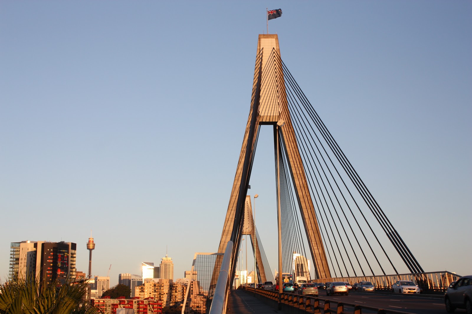 Sydney - City and Suburbs: Anzac Bridge