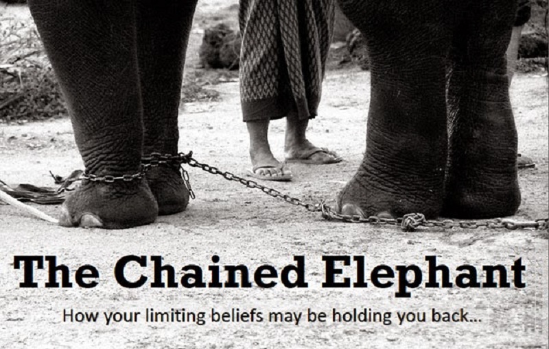 I Cannot OR Chained Elephant Motivational Story