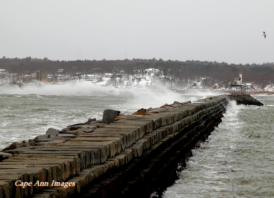 Cape Ann Images: Weathering A Tempest!
