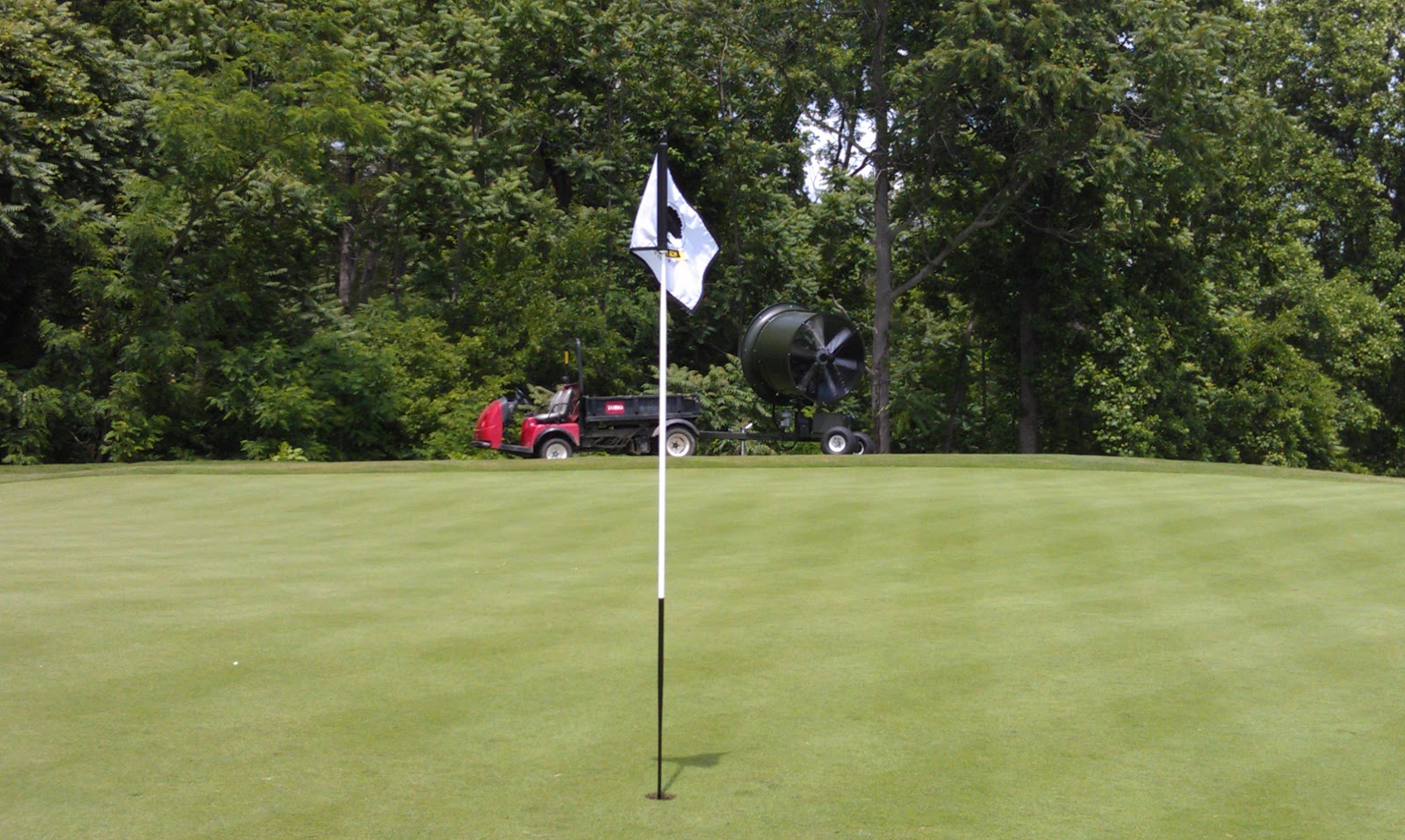 Fans, Collars, and Golf Course Projects ~ WILLOW OAKS COUNTRY CLUB