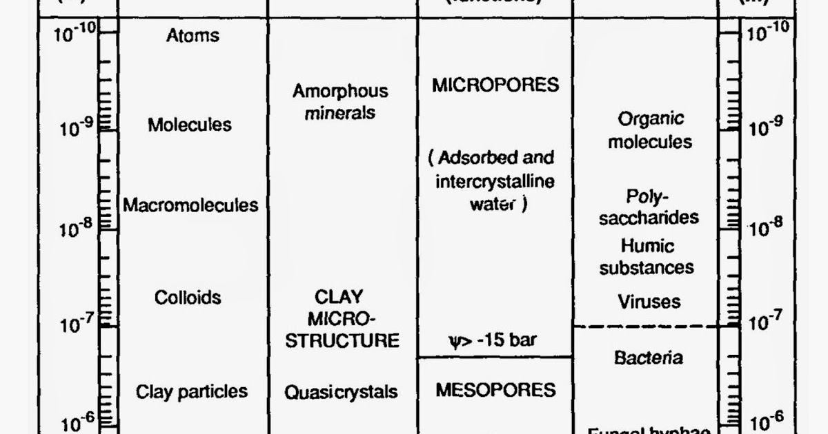 Enthumematon - ἐνθυμημάτων: On the Reference Class Problem