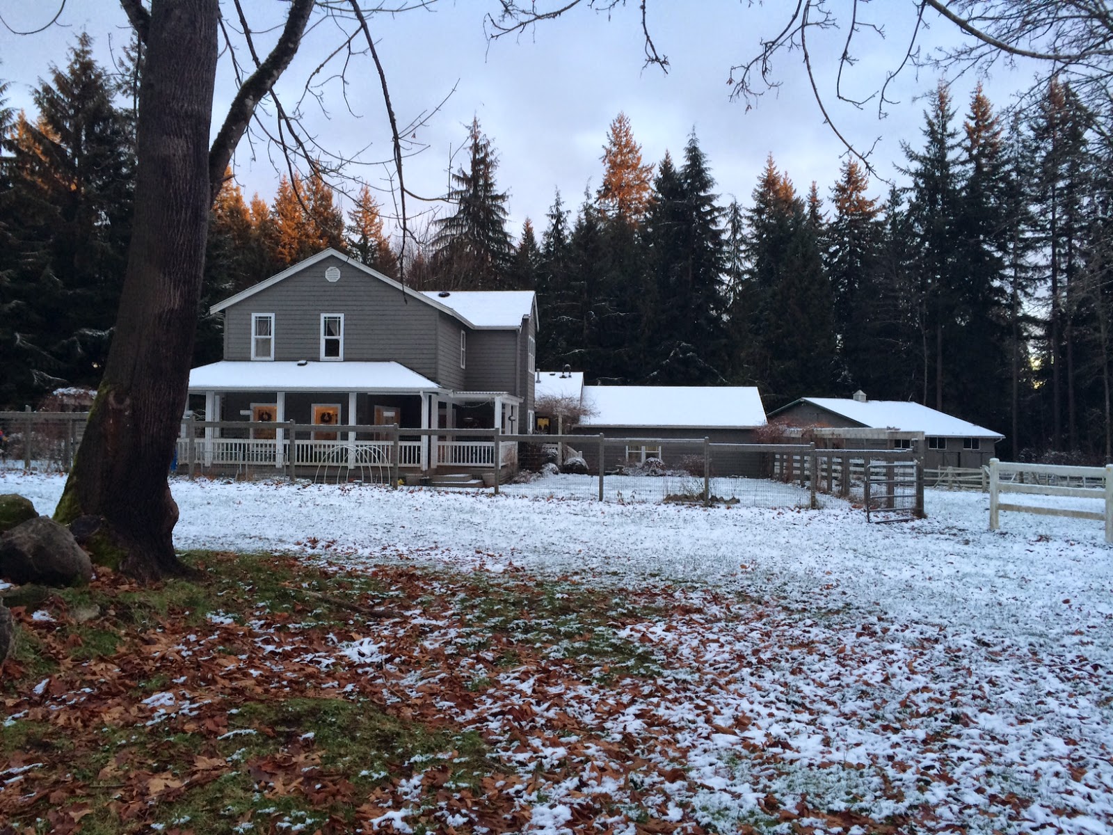 Little Farmstead: ~ The First Snow & A Farmhouse Christmas Porch