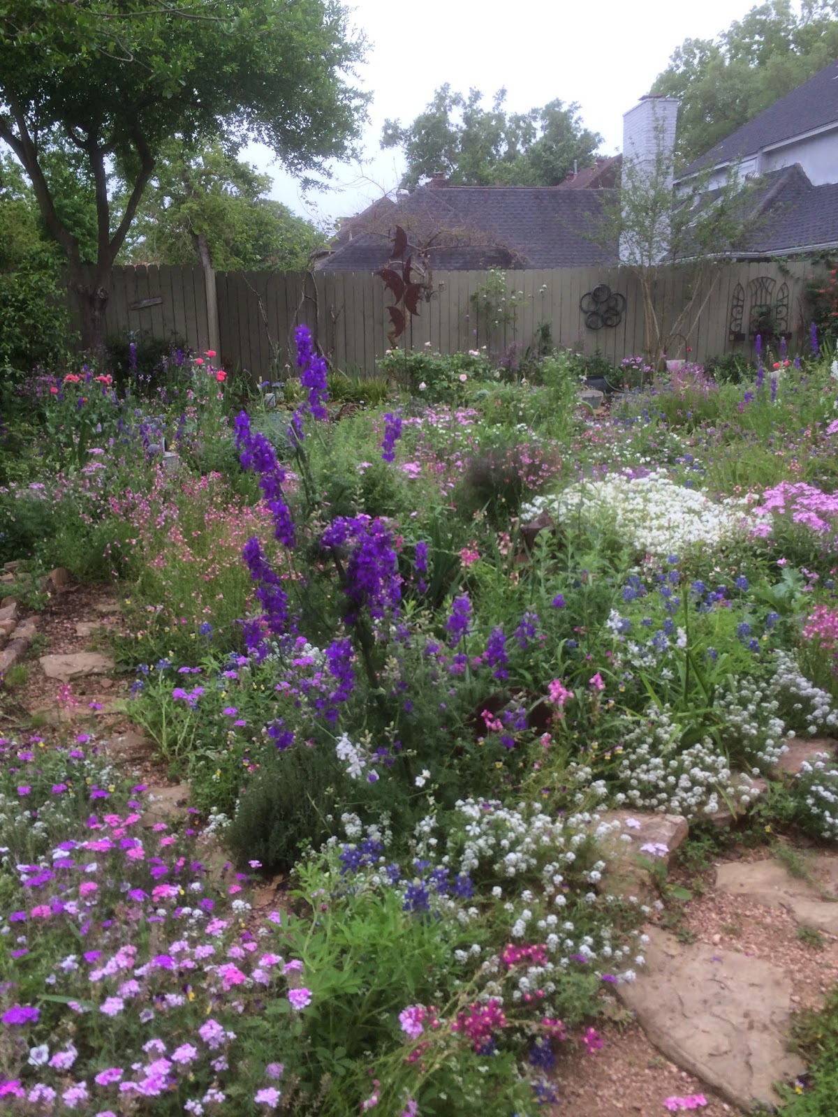 Garden Bloggers' Bloom Day April 2014: Through The Garden Gate