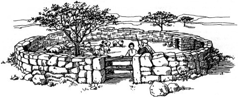 A Sheepfold