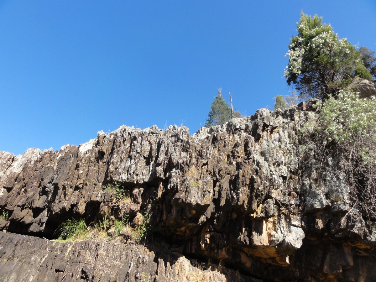 Snap Happy Birding: Nangar National Park, N.S.W.