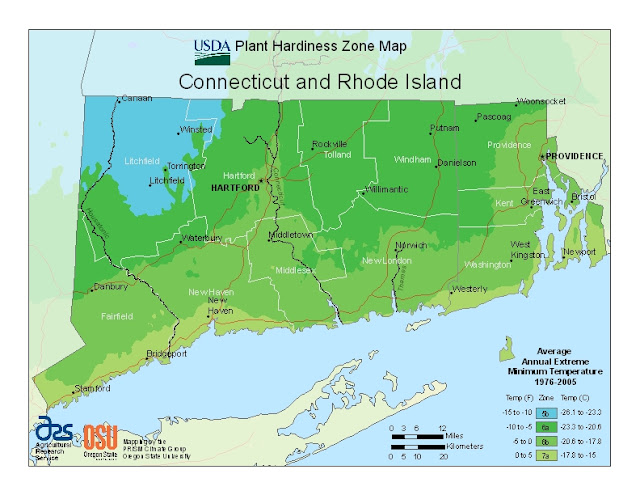 Idyll Haven: Zone 6b? Really?