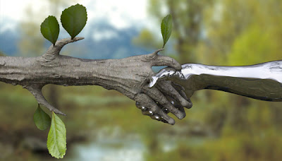 nature: Nature with Technology