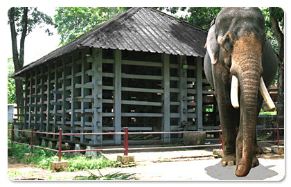 Way to your dream place: Konni