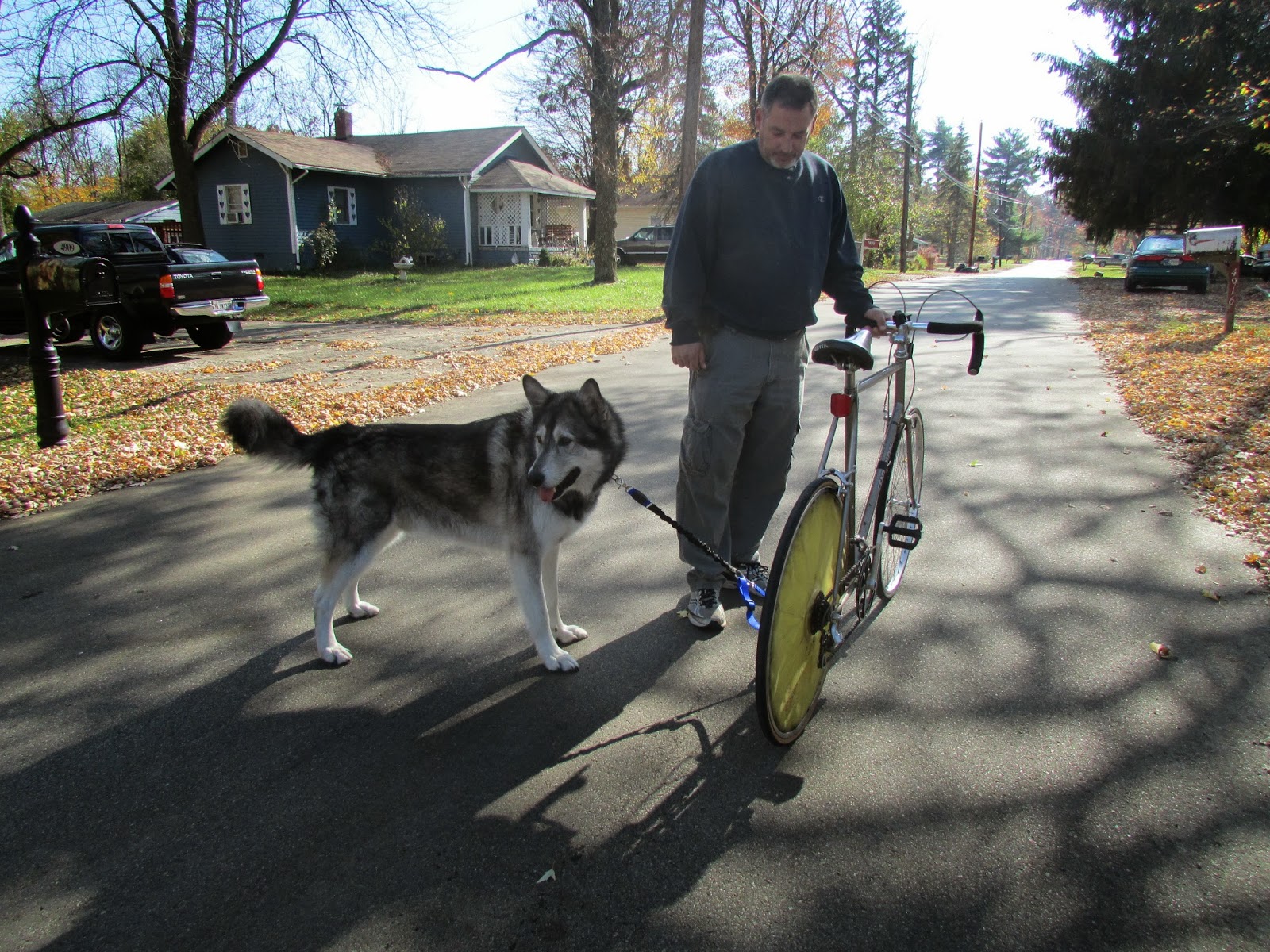 My Rotten Dogs: Dogger Jogger Review