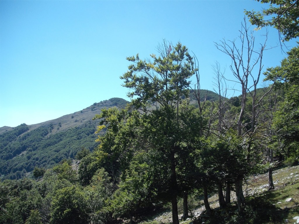 Sentieri trekking Basso Lazio... ....e non solo: MONTE MALAINA