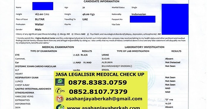 CARA LEGALISIR MEDICAL CHECK UP DI KEDUTAAN UAE / UNI EMIRAT ARAB ...