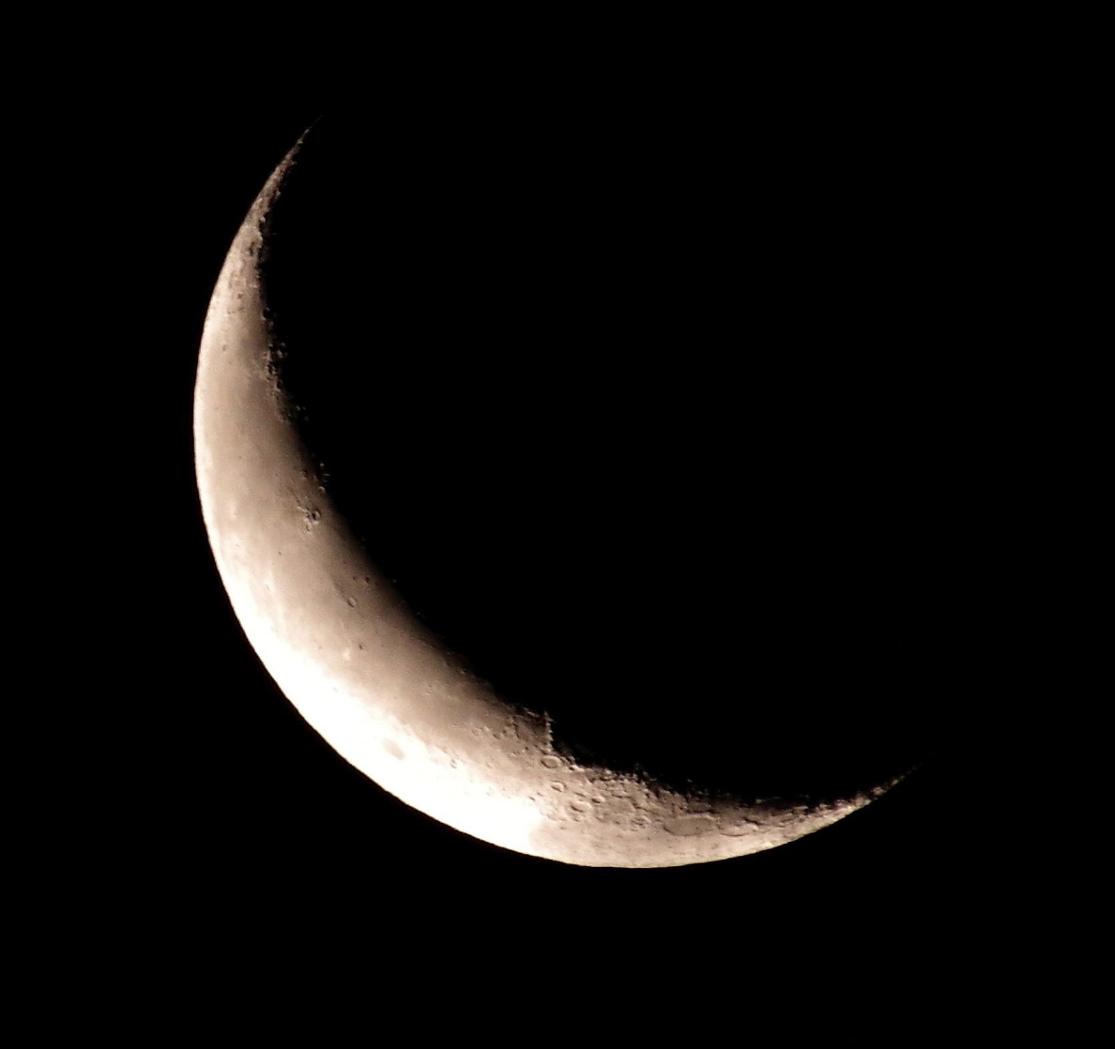 Birds of the Heath: Beautiful waning crescent Moon...