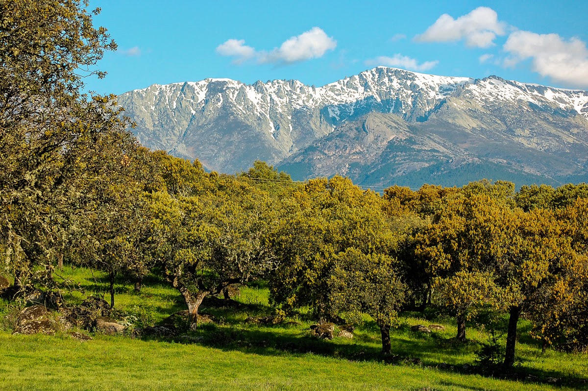 ALMANAQUE NATURAL: octubre 2014