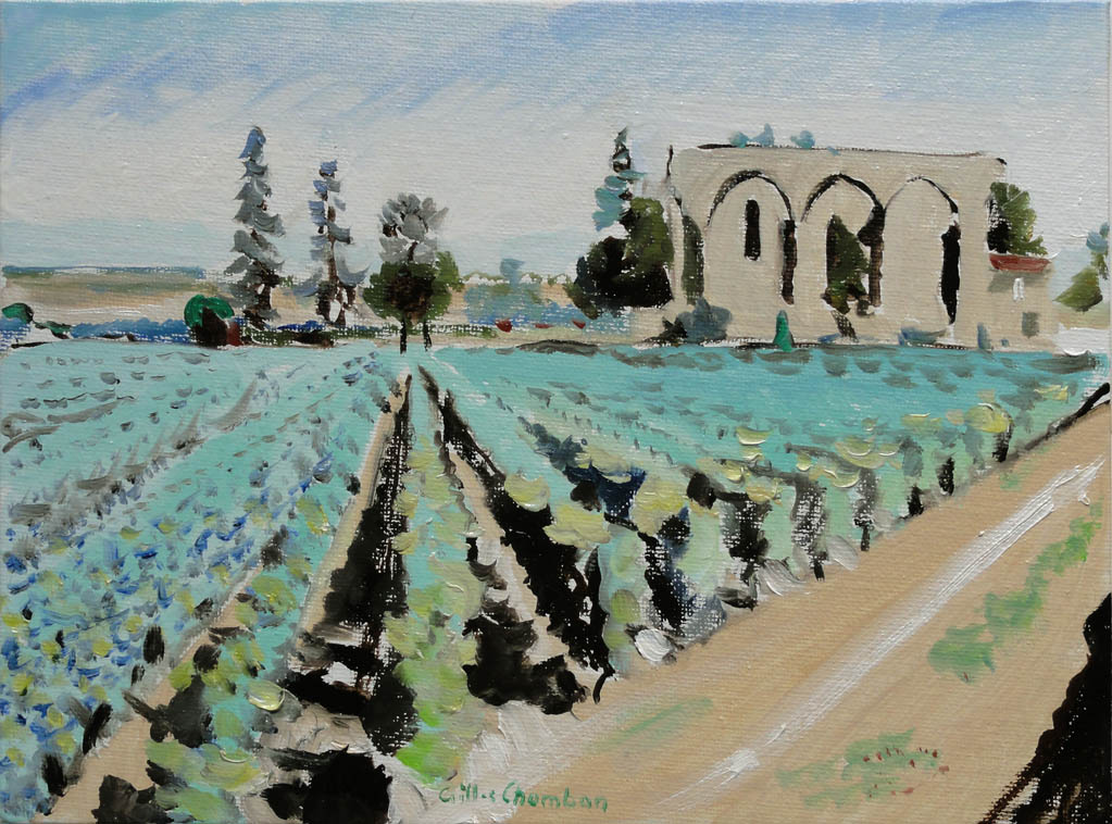 debat art figuration: La grande muraille de Saint Émilion