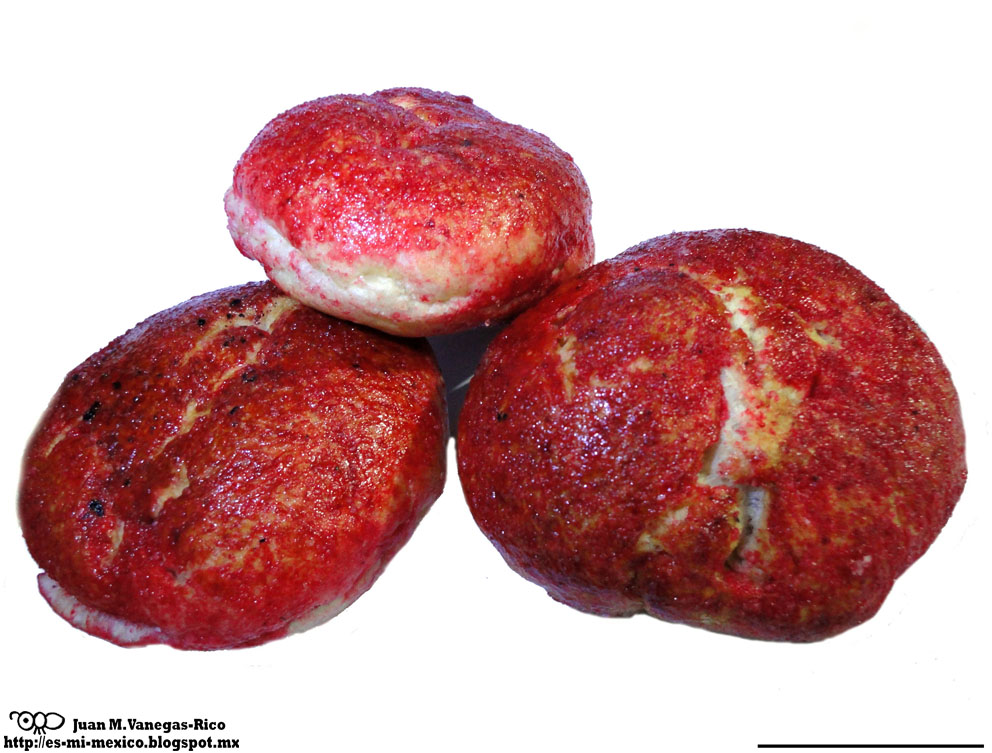 Folklore de México: Pan de Puebla