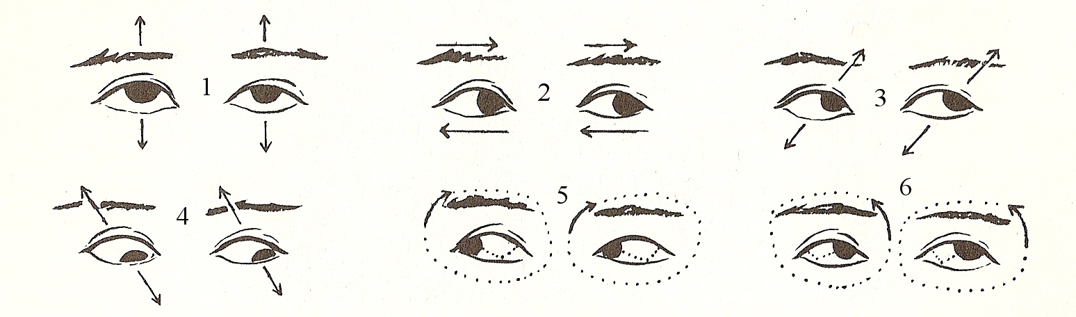 Kinesics; Body Language