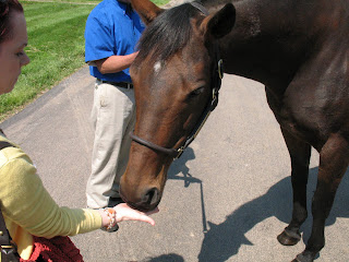 Through the Eyes of a Deaf Equine Fanatic: Our trip to Kentucky, with pics!