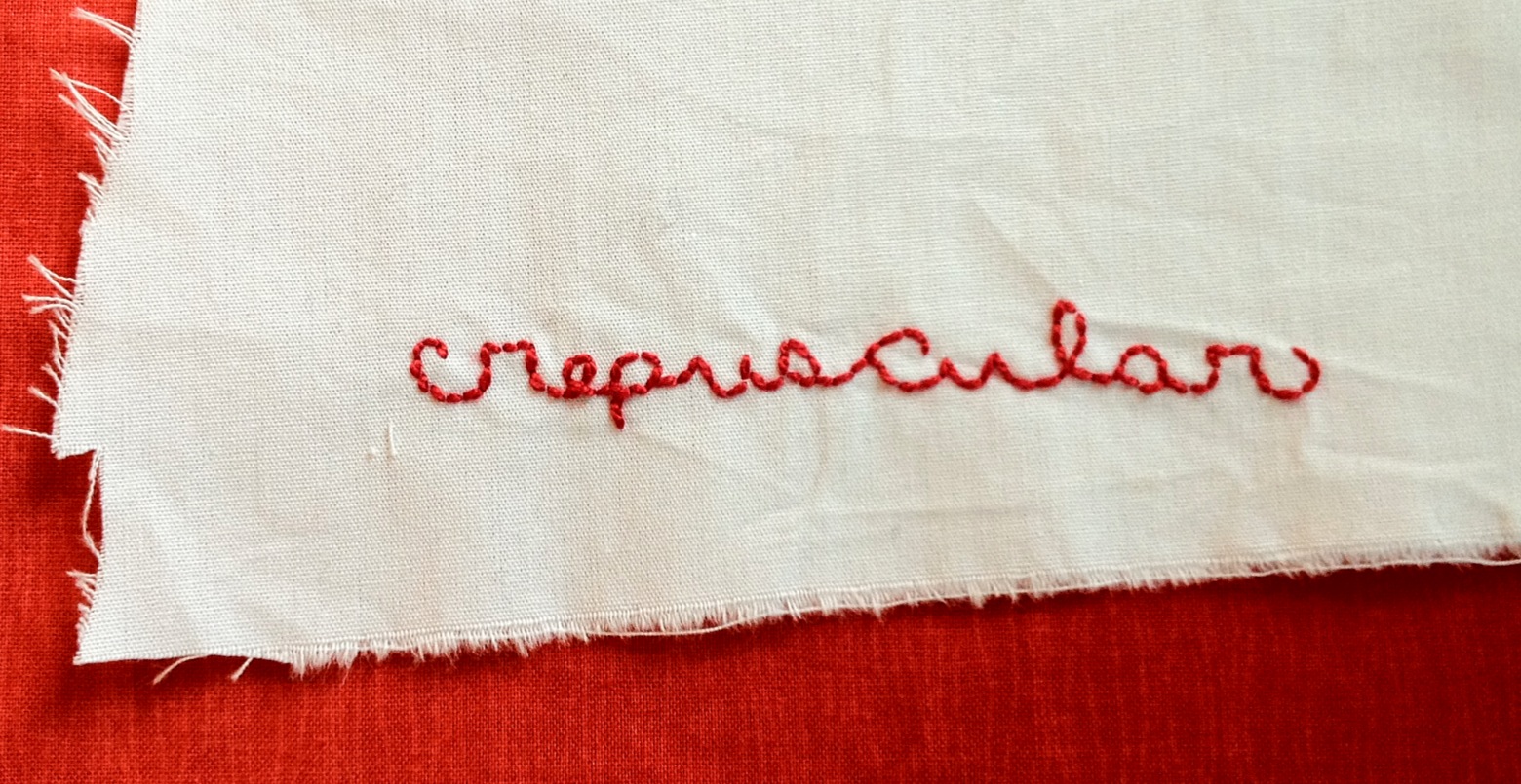 cocoaeyesthestitcher: Words, glorious words!