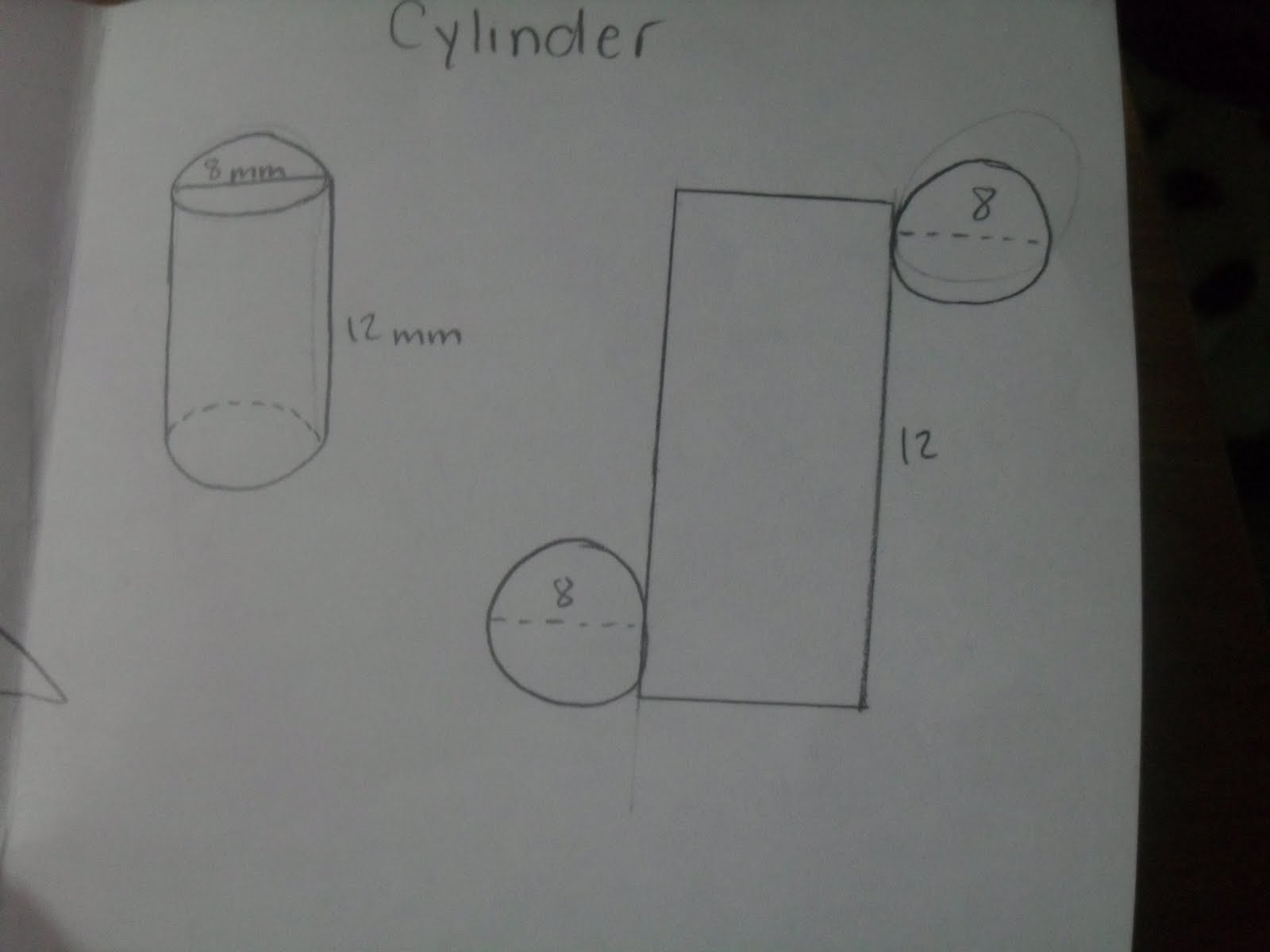 817 Math Blog (2011): Charisse's Surface Area and Volume Post