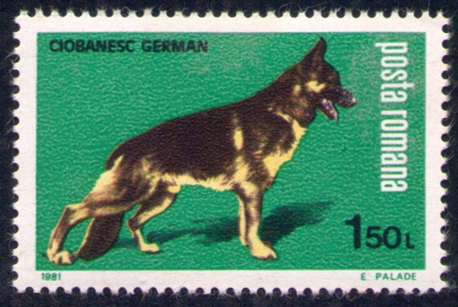 Timbre filatelice: Timbre cu animale-Expozitia Nationala Canina