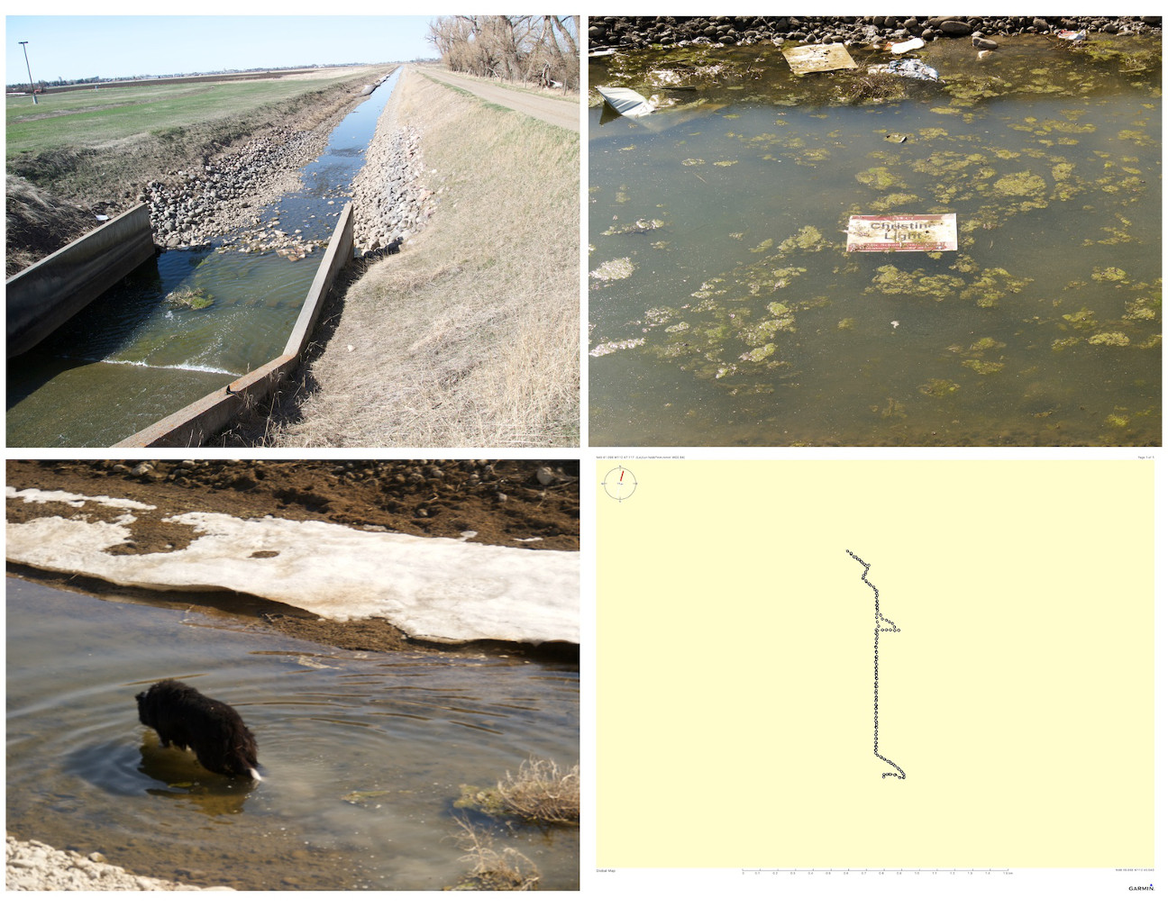 Don Gill - Walking: Red Coat Trail