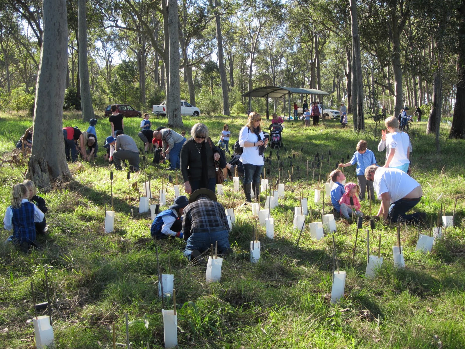 Earthcare Park Landcare: Morpeth Public School celebrate National Tree Day